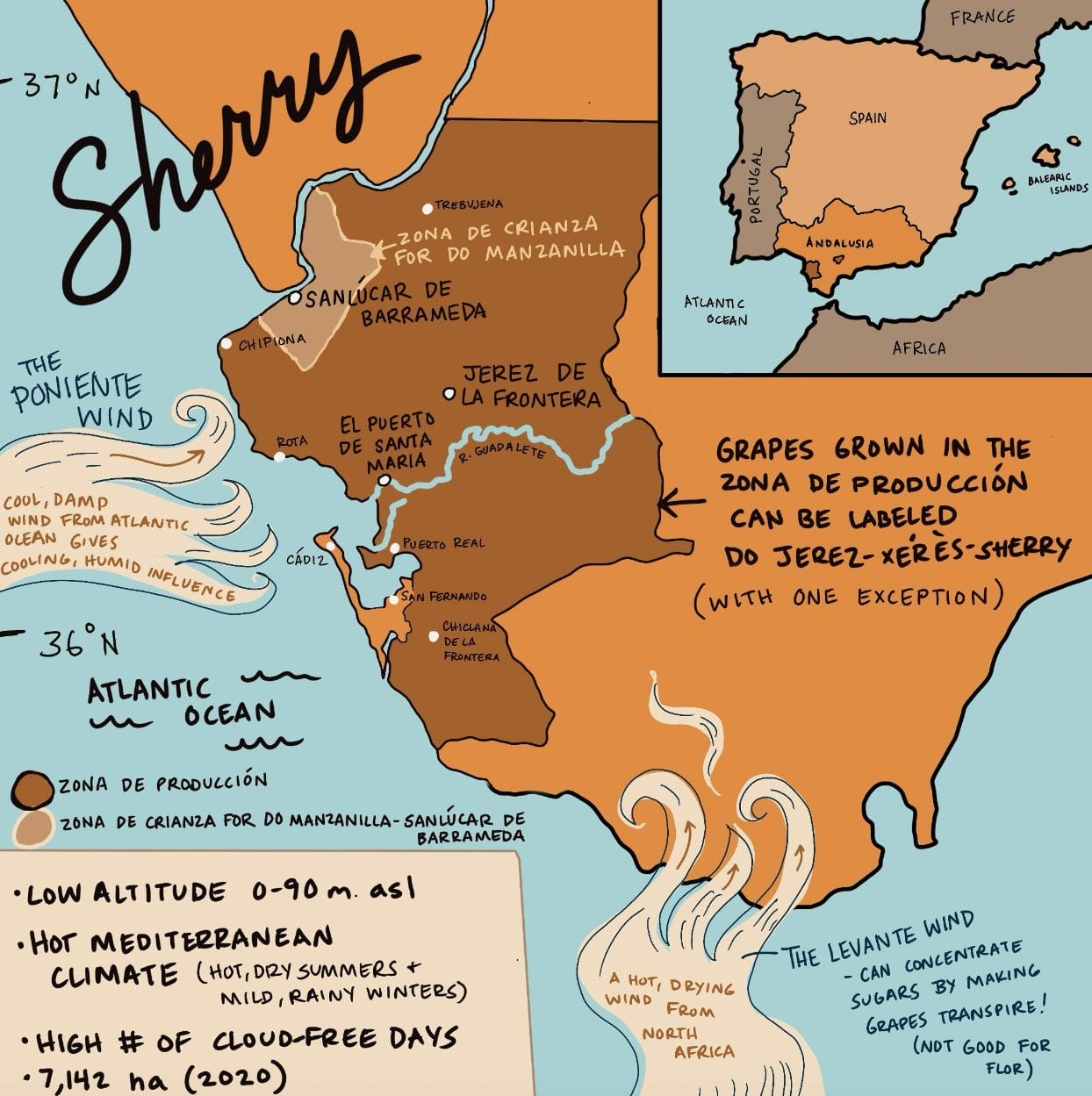 Beginner’s Guide to Sherry | All Things Drinks